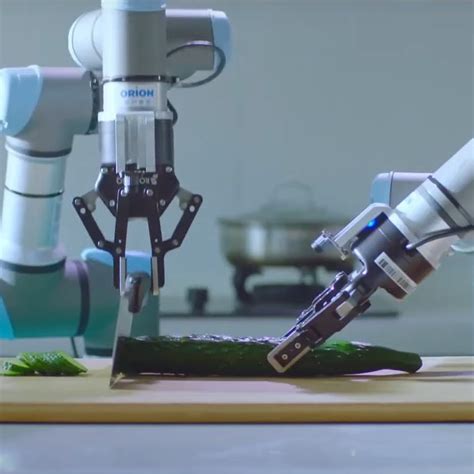 Robotics In Food Processing Meat Dairy Cooking And More