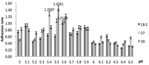 Lactic Acid Bacteria Bf Forming Result Under Different Cultivation Time