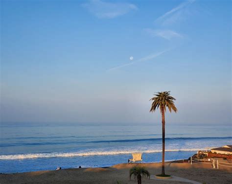 Moonlight State Beach Updated October 2025 893 Photos And 371 Reviews