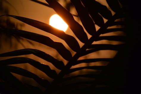 Neurofeedback And Its Benefits For Depression Beverly Brashen