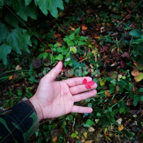 군대 군복 낙엽 초록색 산 사진 이미지 일러스트 캘리그라피 뭉치아빠작가