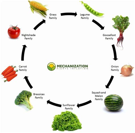 Crop Rotation Guide