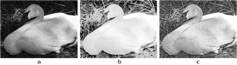A Original B Histogram Equalization C Retinex Download Scientific Diagram