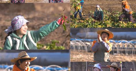 최수종♥하희라 몸빼 바지룩 파격 변신… 첫 품앗이 나선다