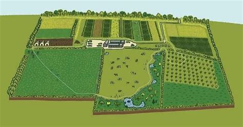 Semencier007 Comment Structurer Une Exploitation Agricole Pour Plus D