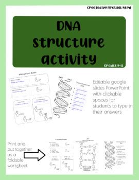 DNA Structure Activity By Pipetual Nerd Teachers Pay Teachers