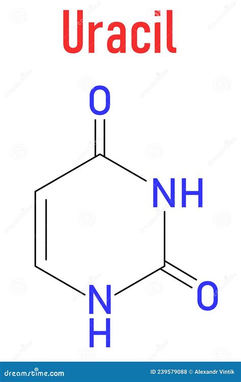 Uracil Nucleobase Dna Molecule Molecular Model 3d Rendering
