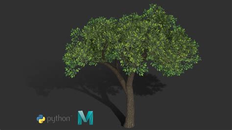 Create Stunning Procedural Trees With Maya Tree Generator