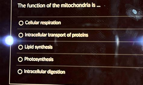 Solved The Function Of The Mitochondria Is Cellular Respiration Intracellular Transport Of