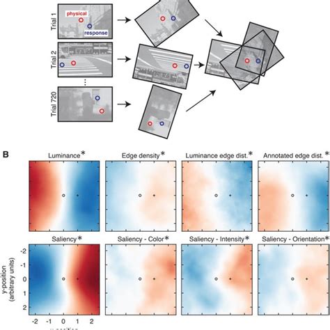 A Procedure For Calculating Averaged Feature Maps Maps Of Each