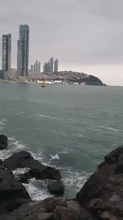 2024년 6월 18일 Youtube