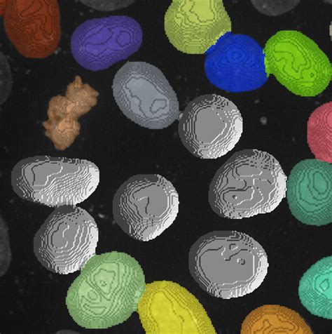 Github Chili Chiunapari Bio Sample Data