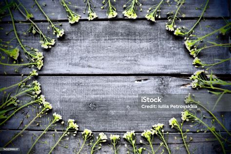 목자의 지갑 꽃은 나무 배경이나 오래된 테이블에 원으로 배열되어 있습니다 작은 노란색 꽃차례 복사 공간 텍스트 중앙의 여유 공간