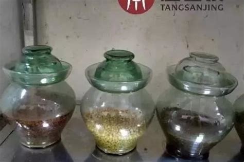 自酿葡萄酒如何避免葡萄酒发霉？