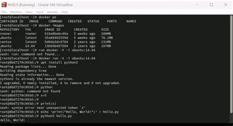 Karan Babani On Linkedin Day04 Linuxworldtraining Docker Pythonprogramming Apidevelopment