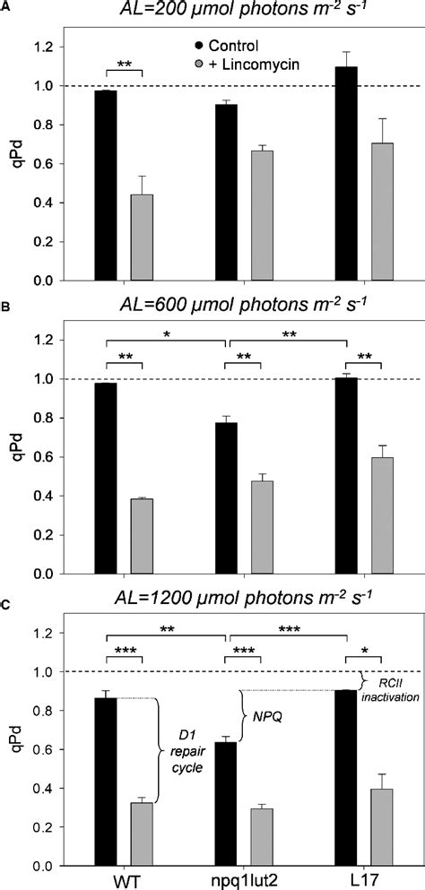 Maximal Variations Of The Qpd Parameter During A 10 H Photoperiod Download Scientific Diagram