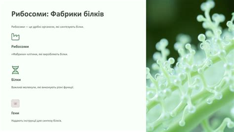 Презентація Будова клітини