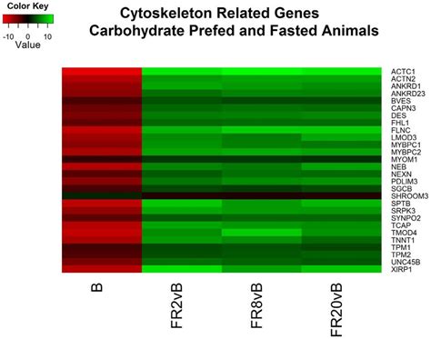 Heatmap Of Log2 Fold Changes Of Genes Associated With Cytoskeleton