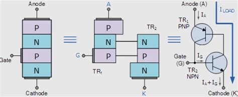 Pengertian Silicon Controlled Switch SCS Cara Kerja Dan Spesifikasinya
