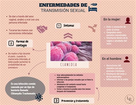 Solution Enfermedades De Transmisi N Sexual Studypool