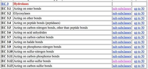 Ec Number Enzyme Nomenclature
