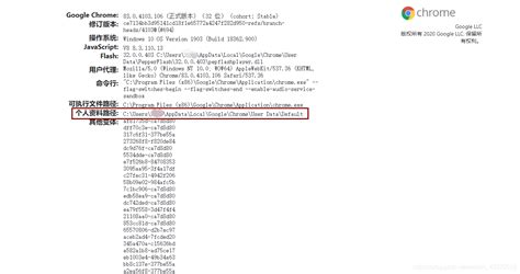 vue—— 图标显示灰色问题（vue js is not detected） 浏览器的vue图标暗的 csdn博客