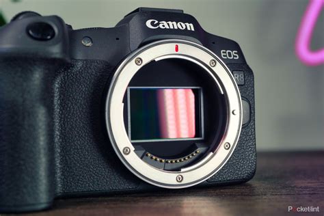 Canon EOS R8 review: Punching above its weight