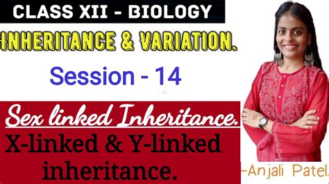 Class Xii Biology Inheritance And Variation Sex Linked Inheritance X And Y Linked