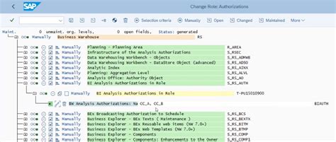 Using SAP BW Authorization Relevant InfoObject In SAP Community