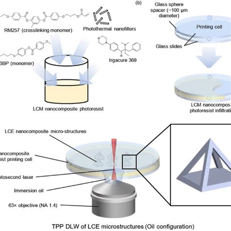 Schematic Representation Of A Typical Polymer Stress Strain Curve Download Scientific Diagram