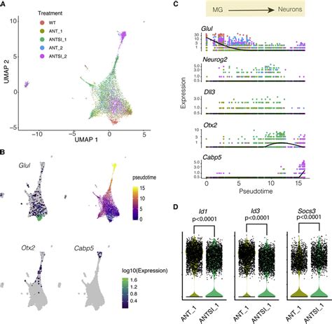 Pseudo Time Analysis Of Scrna Seq Datasets A Umap Plot From Monocle Download Scientific