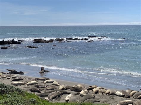 2019加州1号公路 旅游攻略 门票 地址 问答 游记点评，洛杉矶旅游旅游景点推荐 去哪儿攻略