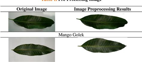 Table 1 From Comparison Of Edge Detection Methods Using Roberts And Laplacian Operators On Mango