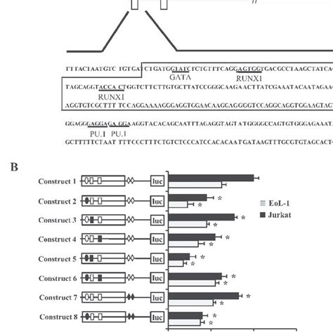 Effects Of Point Mutants Of Runx1 And Pu 1 Binding Motifs On Ccr3 Download Scientific Diagram