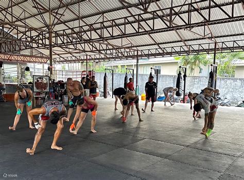 Phuket Muay Thai Boxing Introduction Class For Beginners Klook