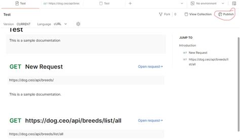 Api Documentation Tools Using Postman For Api Documentation Dev