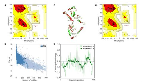 Figure E Validation Of Tertiary Structure Of Epitope Vaccine A