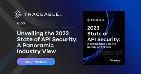 Unveiling The 2023 State Of Api Security A Panoramic Industry View