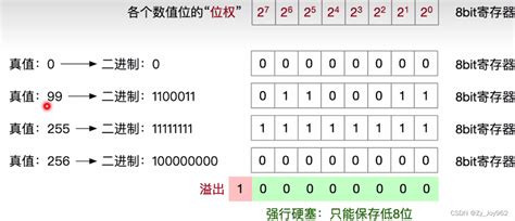 无符号整数的表示和运算 Csdn博客