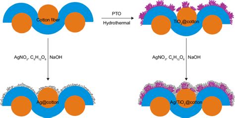 Scheme The Synthesis Of TiO Flower Like Micro NPs And Ag NPs Coated Download Scientific