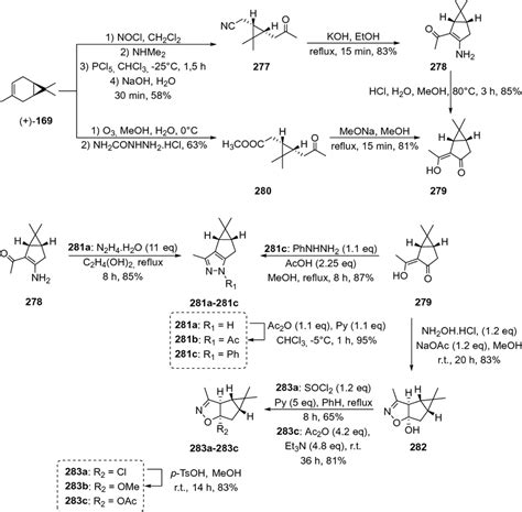 Synthesis Of Pyrazole And 2 Isoxazoline Derivatives From 3 Carene Download Scientific Diagram