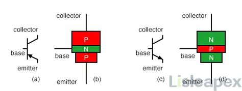Difference Between Ujt And Bjt Transistor 2024 Lisleapex