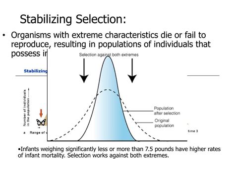 What Is A Stabilizing Selection Graph At Karen Medina Blog
