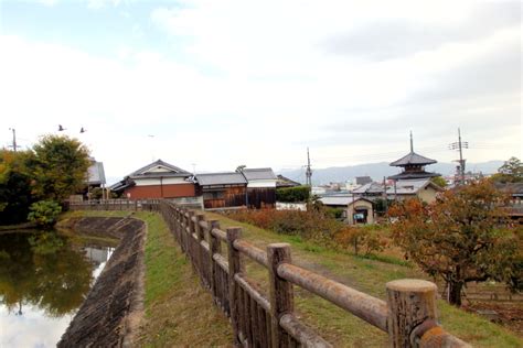 0001 0108 法起寺の塔を望む 斑鳩の記憶データベース