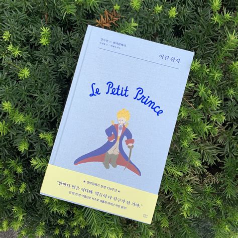 문학과지성사 문지아이들 입고소식 ⠀⠀⠀⠀⠀ 한 땀 한 땀 자수로 만나는 어린 왕자 생텍쥐페리 탄생 120주년 『어린 왕자