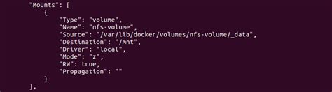 NFS Docker Volumes How To Create And Use PhoenixNAP KB