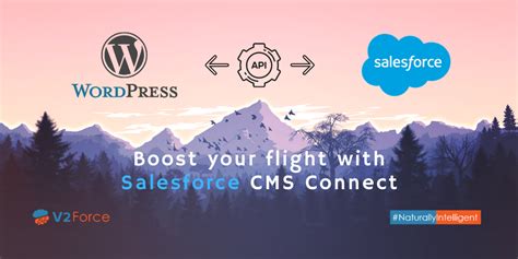 Cms Connect — Integrate Your Wordpress Website With Your Salesforce Community By V2solutions