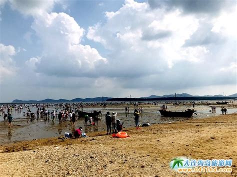 大连带孩子赶海哪里好赶海时间表潮汐表