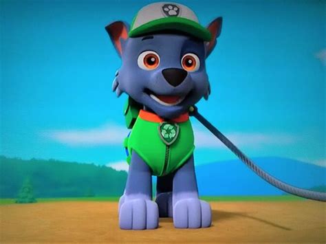 Rocky And Rubble Paw Patrol Relation Ship Wiki Fandom