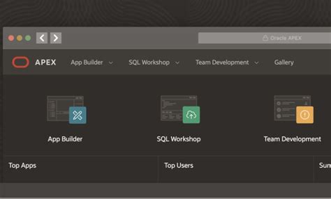 Develop Customize Oracle Apex Application From A To Z By Izzabuhassan